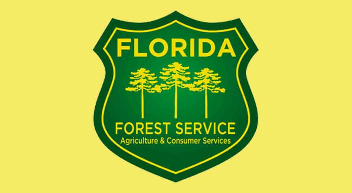 Florida Forest Service deploys firefighters to fight Texas wildfires ...