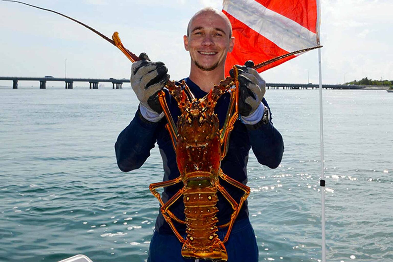 Lobster hunters get ready as 2025 spiny season nears | Niceville.com